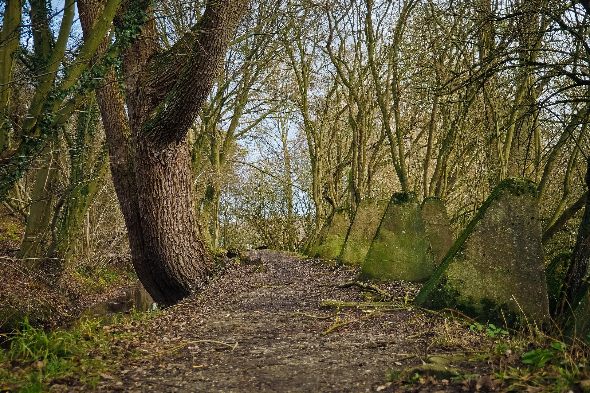 Which Gate Have You Gone Through? Which Path Are You On? What Is Your ...